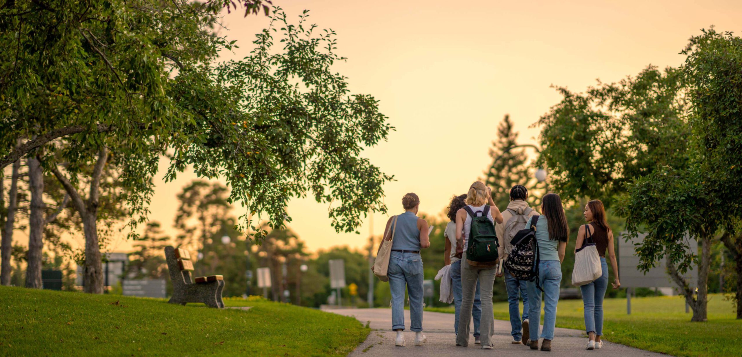 Ikon Institute | Study Higher Education (Tertiary) Courses