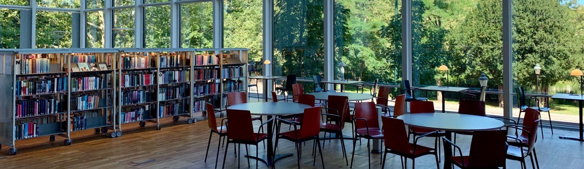 Meet Our Team - Ikon Institute Of Australia